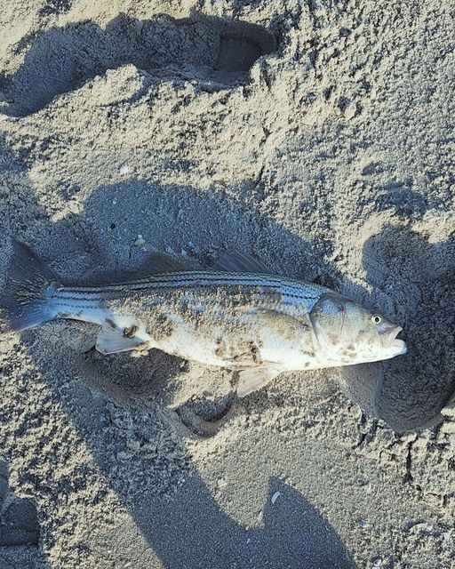 A powder keg waiting to explode.... (also tournament weekend and the T ...