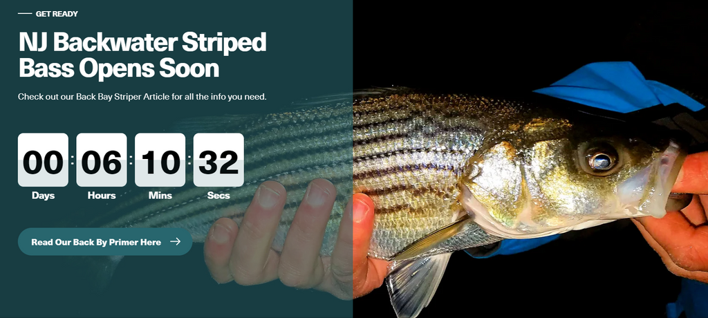 Happy Leap Day! – Grumpys Tackle