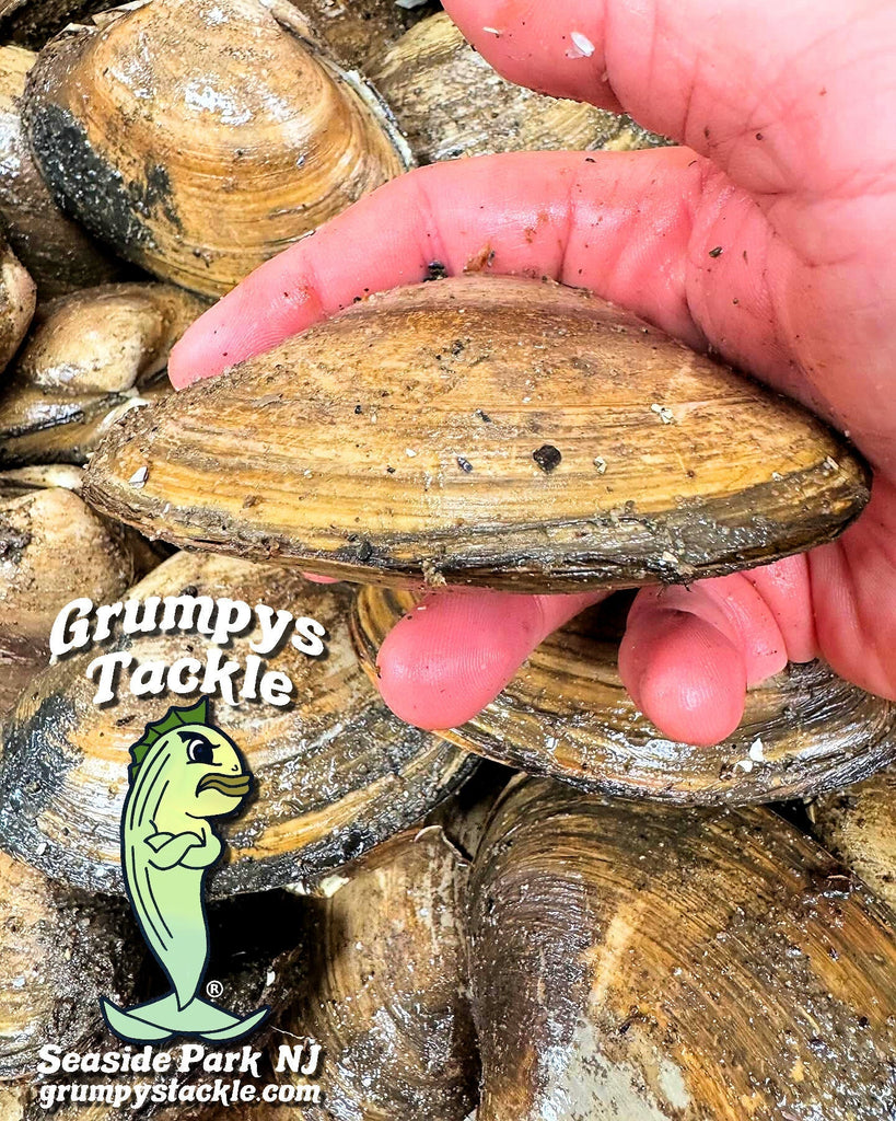 Governor's Cup Weekend – Grumpys Tackle